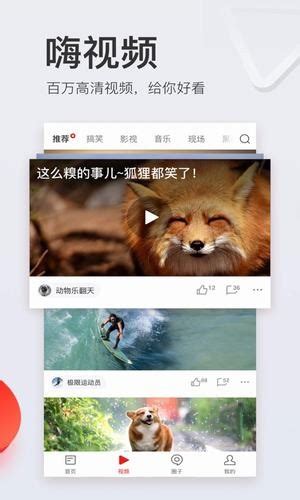 网易新闻专业版下载网易新闻手机版下载电脑维修网