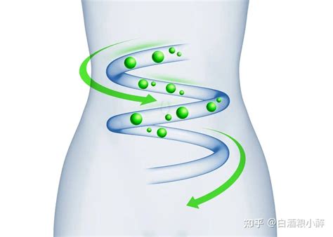 喝醉后如何醒酒？这些方法很实用！ 知乎