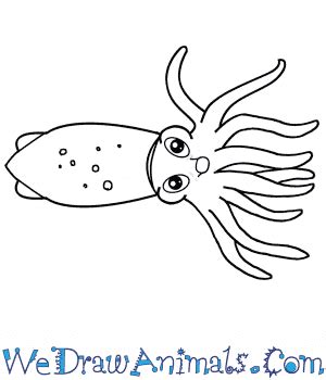 Easy Squid Drawing How To Draw A Giant Squid Squids Step By Step