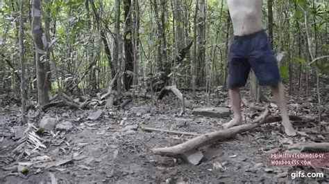 PrimitiveTechnologyGIFs On Tumblr