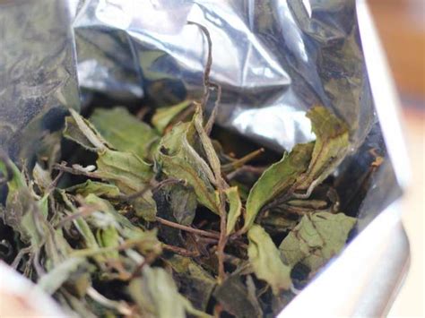 一杯茶和一杯咖啡，哪个更提神？百科ta说