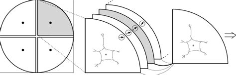 Simplified Model Of The Mstd Area An Example Of 4 Mstd Segments Each Download Scientific