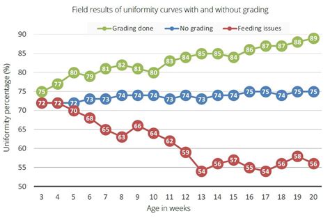 Cobb Breeder Management Guide Methods For Grading Breeders The Poultry Site