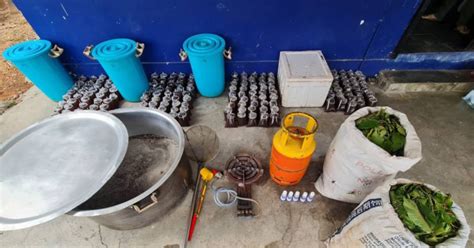 Polis Serbu Tempat Proses Daun Air Ketum Tahan Seorang Lelaki Berita Harian