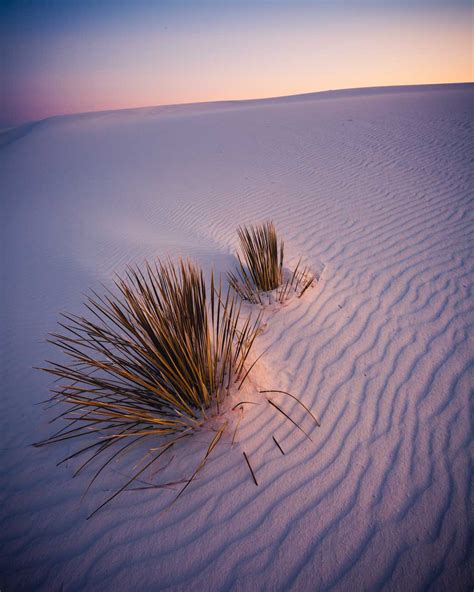 New Mexicos White Sands National Park Becomes 62nd National Park