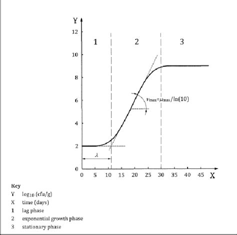 Microbial Growth Kinetics With Three Major Phases Download Scientific