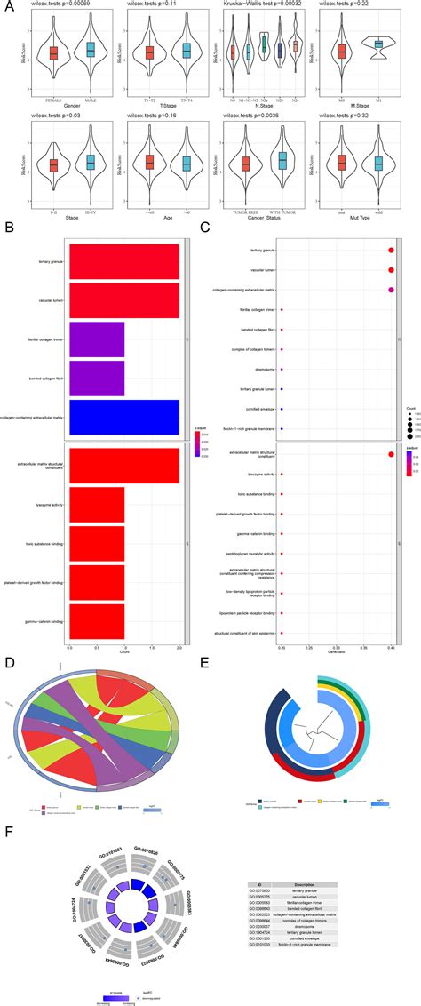 Development Of The Tp53 Mutation Associated Hypopharyngeal Squamous