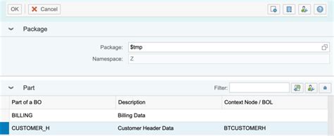 Search And Maintain Customer Extension Fields From Focused Build Fiori
