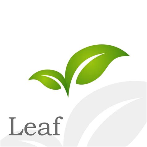 에코 아이콘 녹색 잎 벡터 일러스트 레이 션 절연 프리미엄 벡터