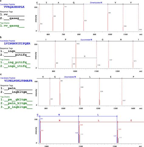 Combination Rules Of Tags Into A Tag Chain A Separated Relation For Download Scientific