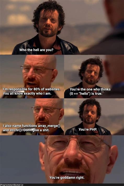 Everyones Favorite Programmerhumor Io