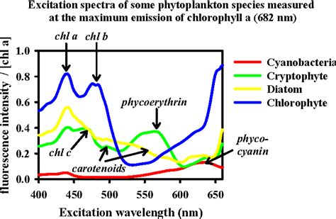 Fluorescence Excitation Spectra For Different Chemotaxonomic