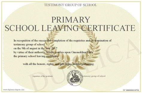 Primary School Leaving Certificate