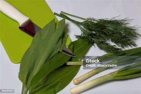 테이블 위에 신선한 채소 들이 깔끔하게 배치 되었습니다 향기로운 양파 딜 및 야생 마늘 건강 한 샐러드를 위한 재료 0명에 대한