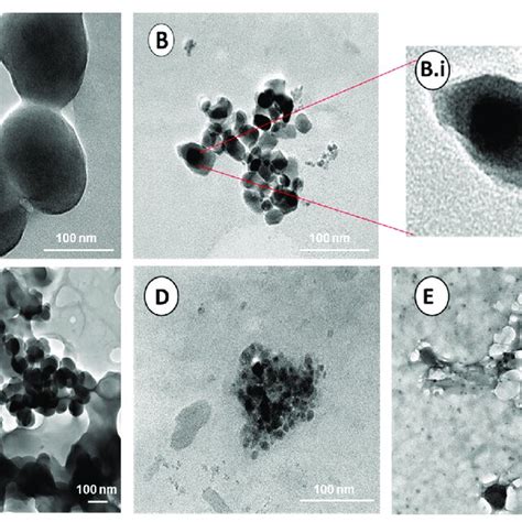 Tem Micrographs Of The Nanoparticles Bar Scale 100 Nm A Cuonps Download Scientific