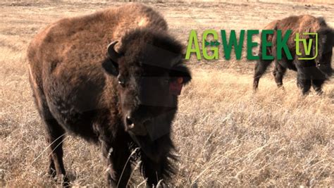 Agweektv Full Show Flood Risk Summit Carbon Pipeline Youtube Farming
