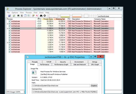 Server 100and Cpu Performance Malware Finding And Cleaning Eset