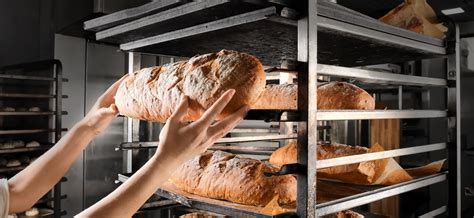 Seeder With Brush Danmatic