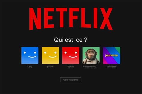 Partage De Compte Netflix Sanctions Pour Les Utilisateurs