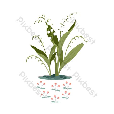 White Lily Vector Png Images Psd Free Download Pikbest