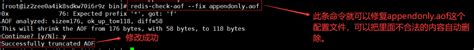 Redis持久化中的aofappend Only File持久化appendonly Csdn博客