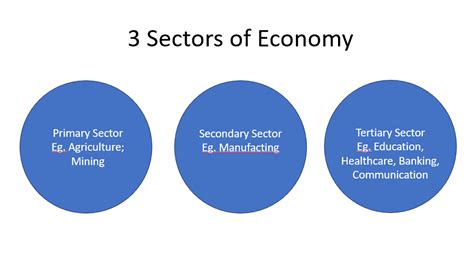 Economy Sectors And Types Of Economies