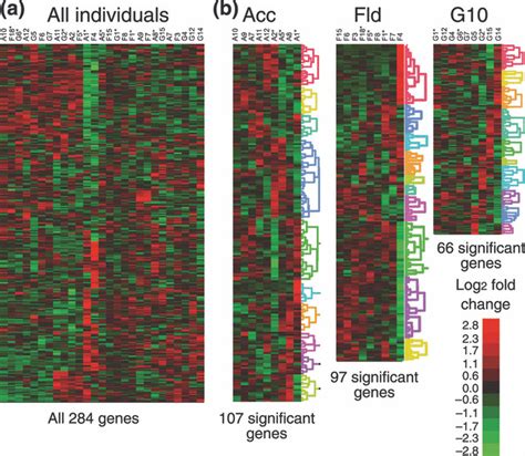 Hierarchical Clustering Of Individual Gene Expression Clustering Is