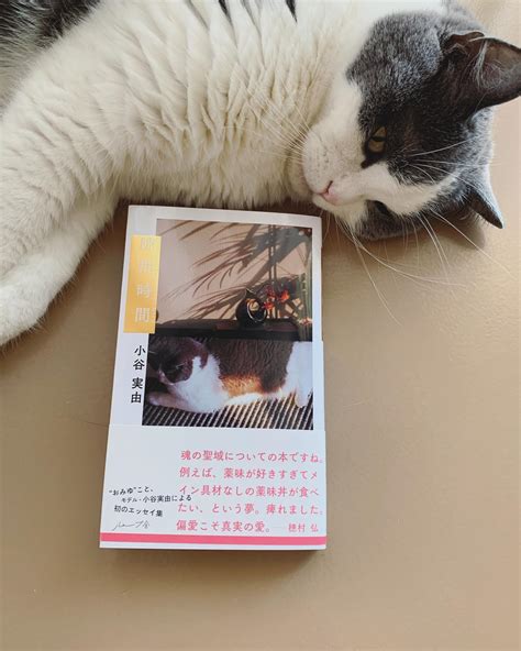 小谷実由 【是非ともチョコレートをお供に聴いてねの回🍫】 おみゆの好き蒐集倶楽部 最新回ep95が更新されました💫今回はチョコレート