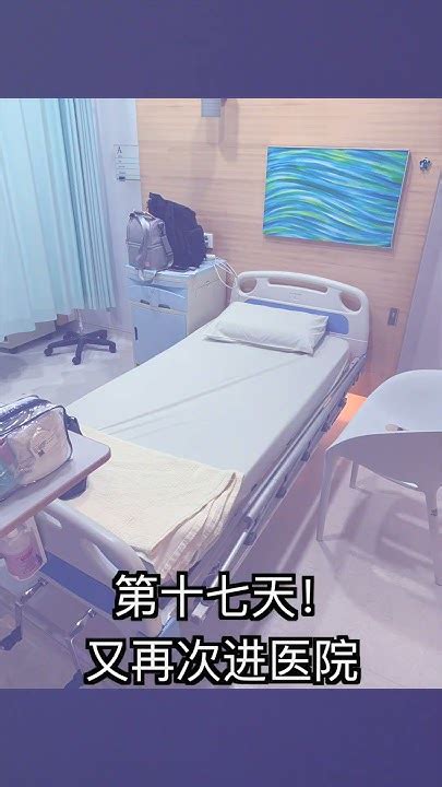 第十七天 ！又再次进医院 ！双胞胎日记 Youtube