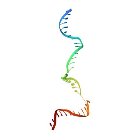 Rcsb Pdb 8eoe Mycobacterium Tuberculosis Transcription Elongation