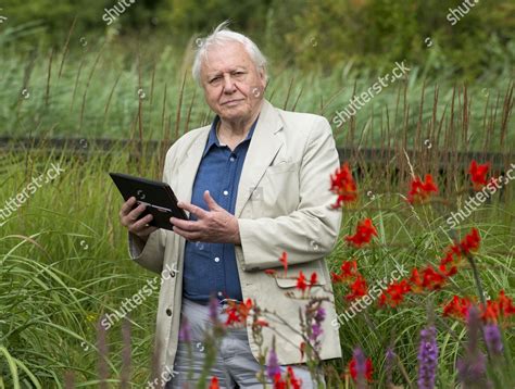 Sir David Attenborough President Butterfly Conservation Redaktionelles
