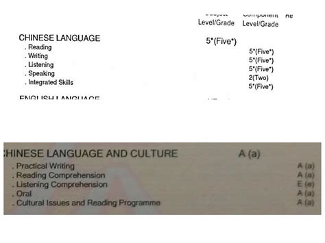 睇返張會考證書同alevel證書，發現自己有聽說障礙