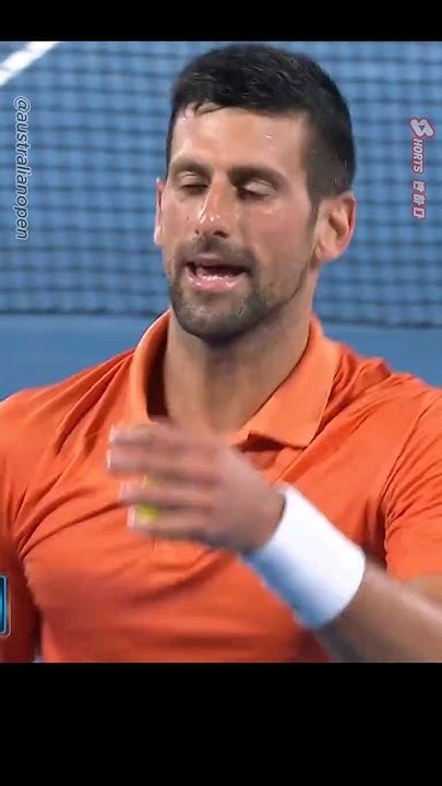 선수와 관중의 콜라보 노박 조코비치 Youtube