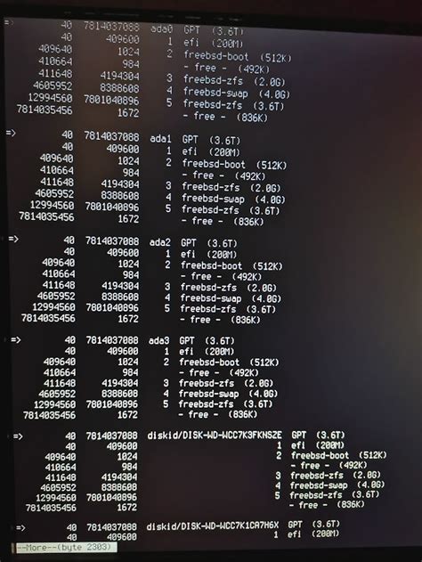 Zfs Io Error All Block Copies Unavailable After Freebsd Update The