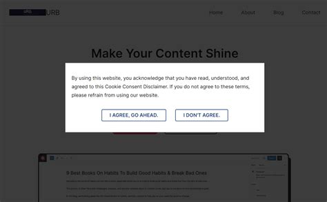 How To Automatically Add A Disclaimer In Wordpress In Seconds