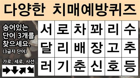 다양한 치매예방퀴즈 낱말퀴즈 치매예방활동 치매테스트 숨은단어찾기 집중력키우기 단어퀴즈 Youtube