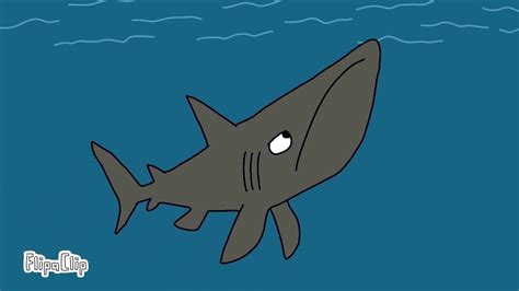 Basking Shark The Bloop Youtube