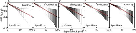 The Correlation Function Hcos Q S S L I Versus Separation L For Dna