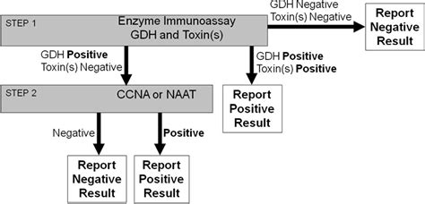 Clostridium Difficile Infection Semantic Scholar