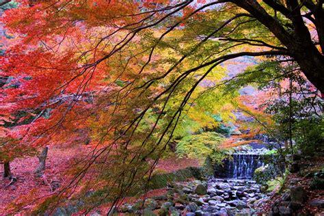 養老公園の絶景｜zekkei Japan