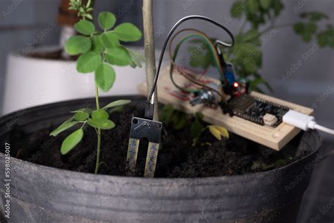 Soil Moisture Sensor Is Controlled By An Arduino Microcontroller Programmed To Send Moisture