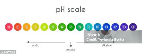 산알칼리성 용액에 대한 Ph 값 척도 차트 흰색 배경에 고립된 산염기 균형 인포그래픽 용액의 수소 이온 농도 표시기 벡터 일러스트 레이 션입니다 규모에 대한 스톡 벡터 아트