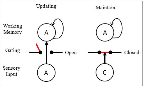 Active Gating Mechanism Illustration Adapted From Frank Et Al Download Scientific Diagram