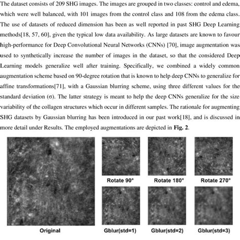 Augmentation Of Shg Data By Rotation And Gaussian Blur Outputs Of Download Scientific Diagram