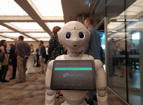 Autonóm robotok a hotelben Blog Netlife Robotics