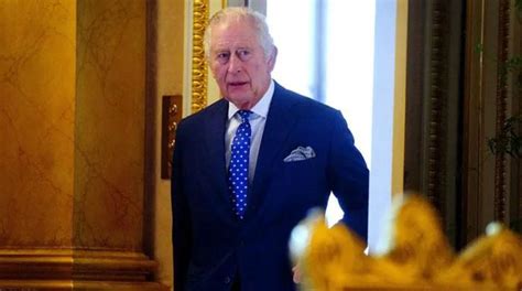 Buckingham Palace Issues Statement As King Charles France Visit Postponed