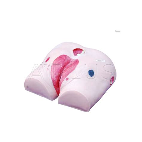 Shop Aplus Mn
