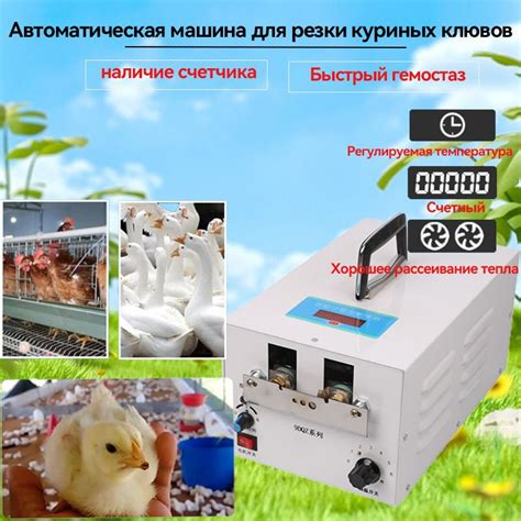 Машина для нарезки куриных клювов - купить с доставкой по выгодным ...
