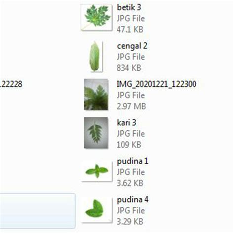 Samples Of Leaves Data Download Scientific Diagram