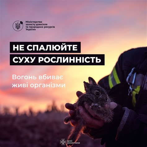 🔥Навесні багато хто вдається до спалювання сухої рослинності та листя